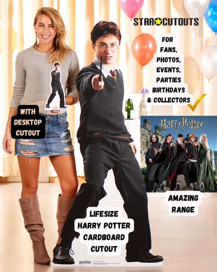 SC1964 Hagrid Star Mini Cardboard Cut Out Height 91cm – mycardboardcutout