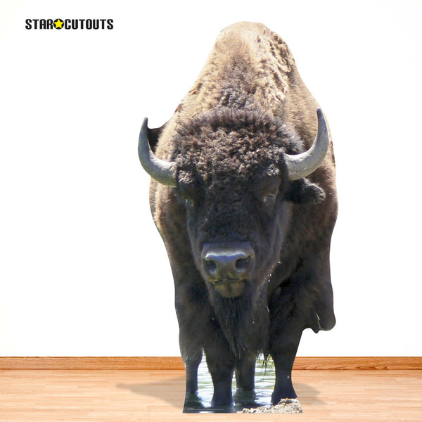 Bison Buffalo America Theme Animal Cardboard Cutout – mycardboardcutout