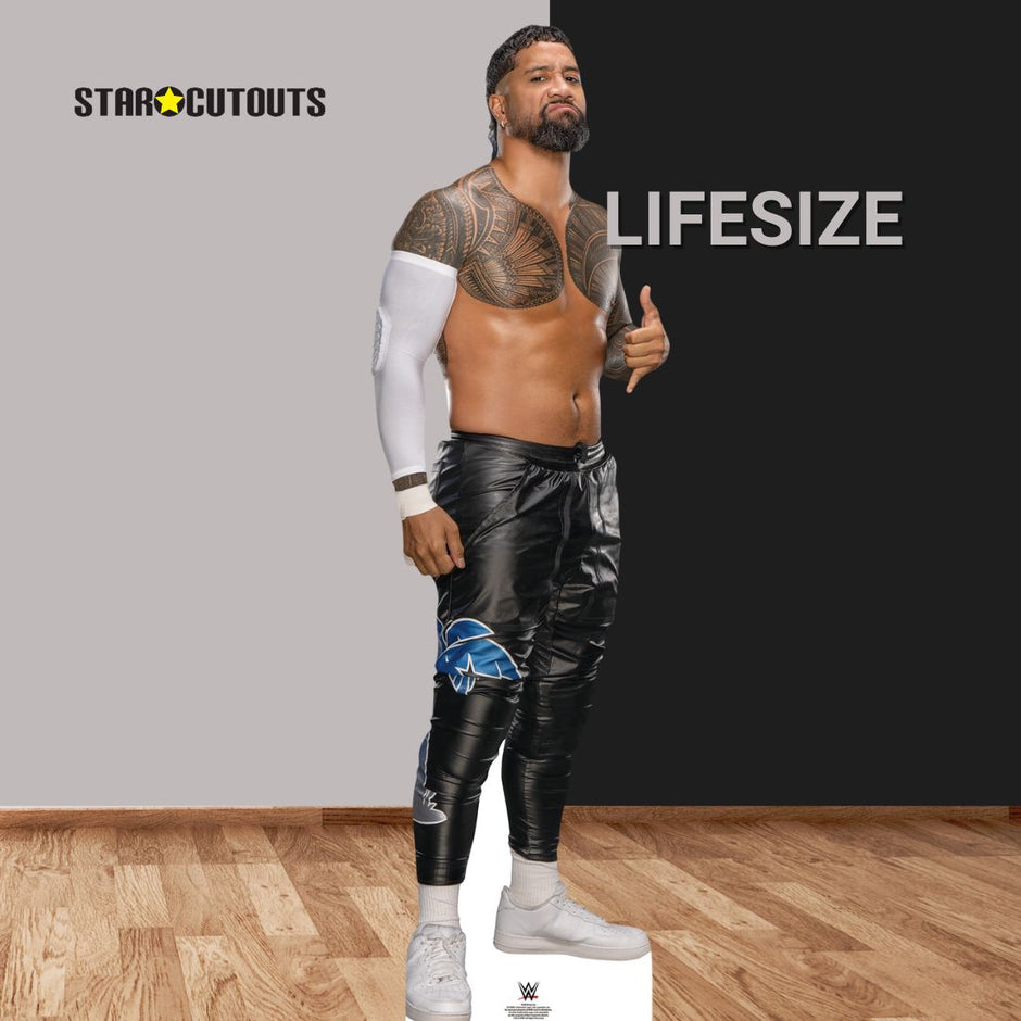 WWE – mycardboardcutout