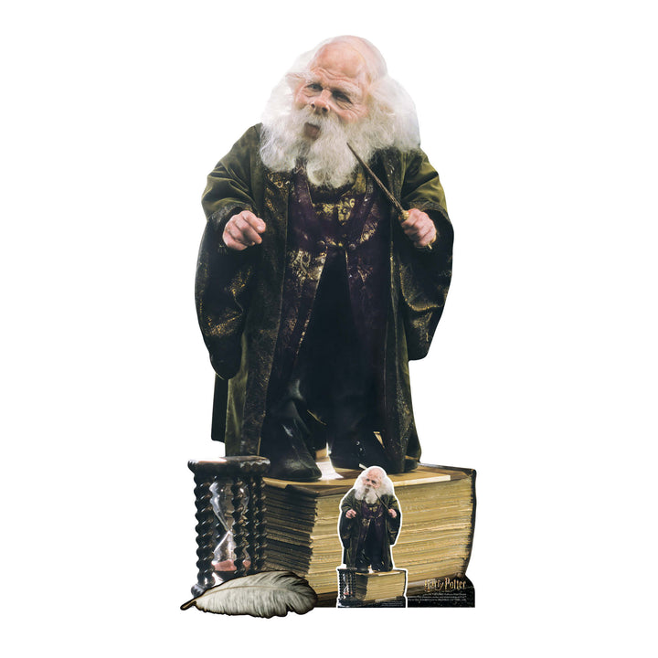 Harry Potter – mycardboardcutout