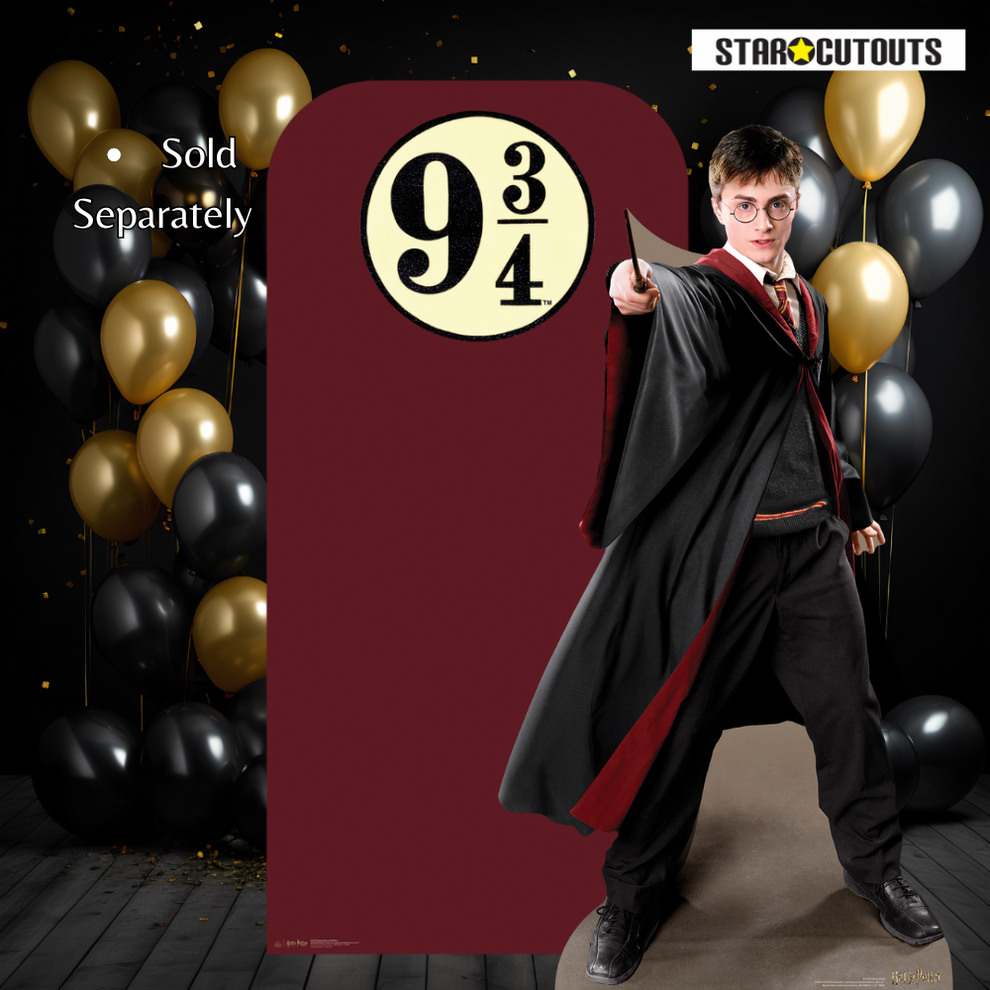 Harry Potter Quidditch Captain Cardboard Cutout Lifesize ...