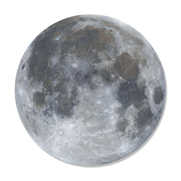 Full Moon Wall Cutout – mycardboardcutout